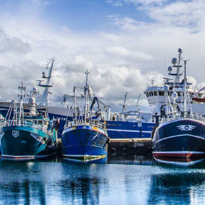 Government must act immediately on seafood export issues - British ...