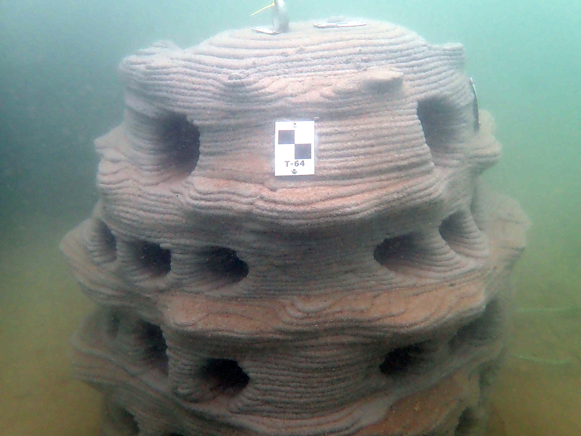 Enhancing infrastructure with 3D printed concrete artificial reef units ...