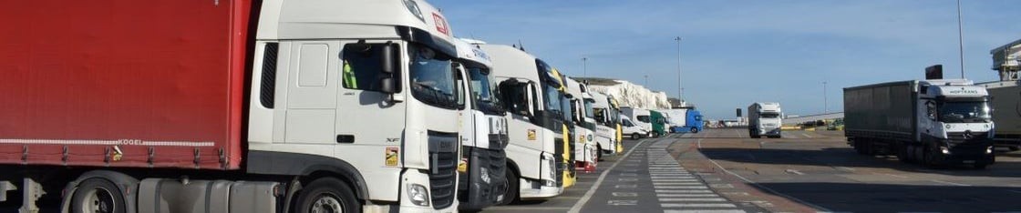 Ports Welcome Common SPS Area in new EU Trade Agreement but Government ...